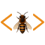 Honeygain SDK: Monetize & Elevate Your Apps Now! | Honeygain
